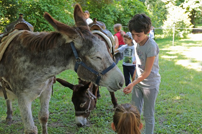 Adotta un Asino :: Asineria Asini di Reggio Emilia